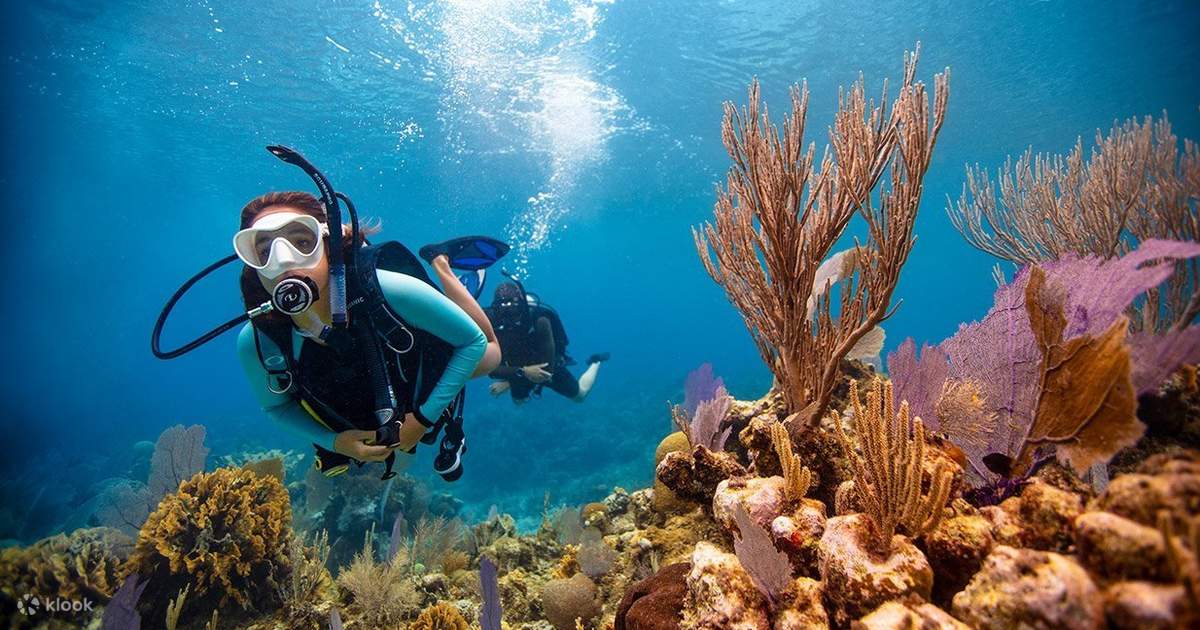 在 PADI 5 星级潜水中心体验普吉岛 PADI 开放水域潜水员的最佳体验 - Klook客路